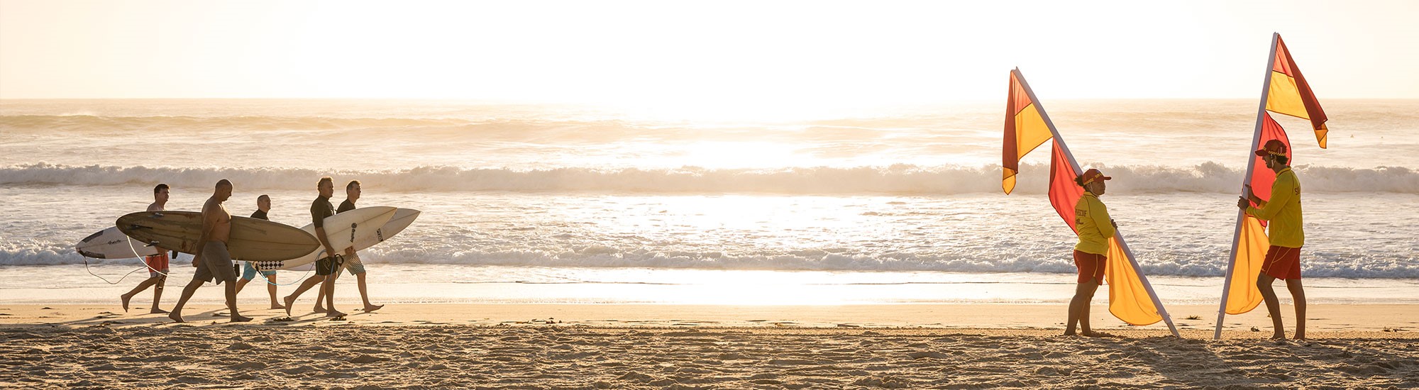 Flags & Signs - SLS Beachsafe